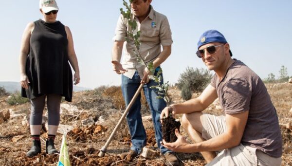 Private Israel Tours: Customized Just for You - Dekel Tours